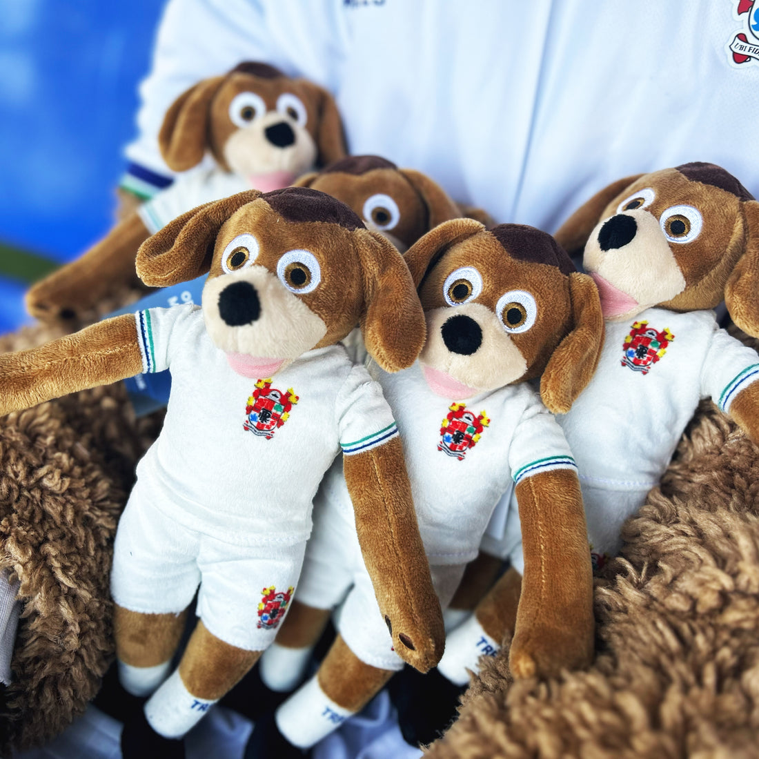 Rover the Dog Plush – Tranmere Rovers Football Club